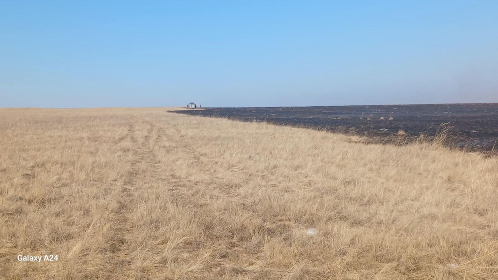 Нийт нутгийн 6 хувь нь ой хээрийн түймэрт өртөх эрсдэл маш их байна